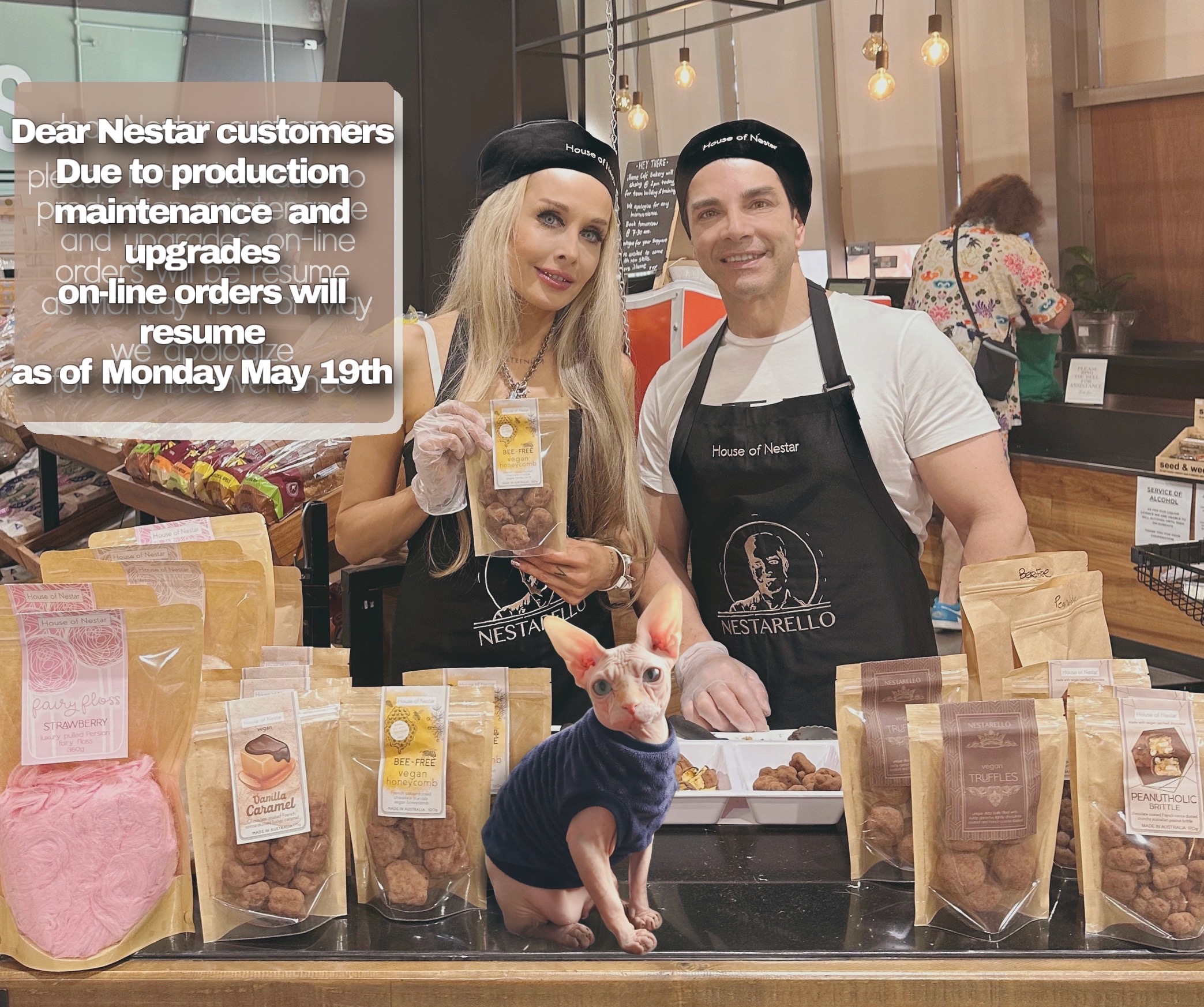 Collections – Nestar Chocolates