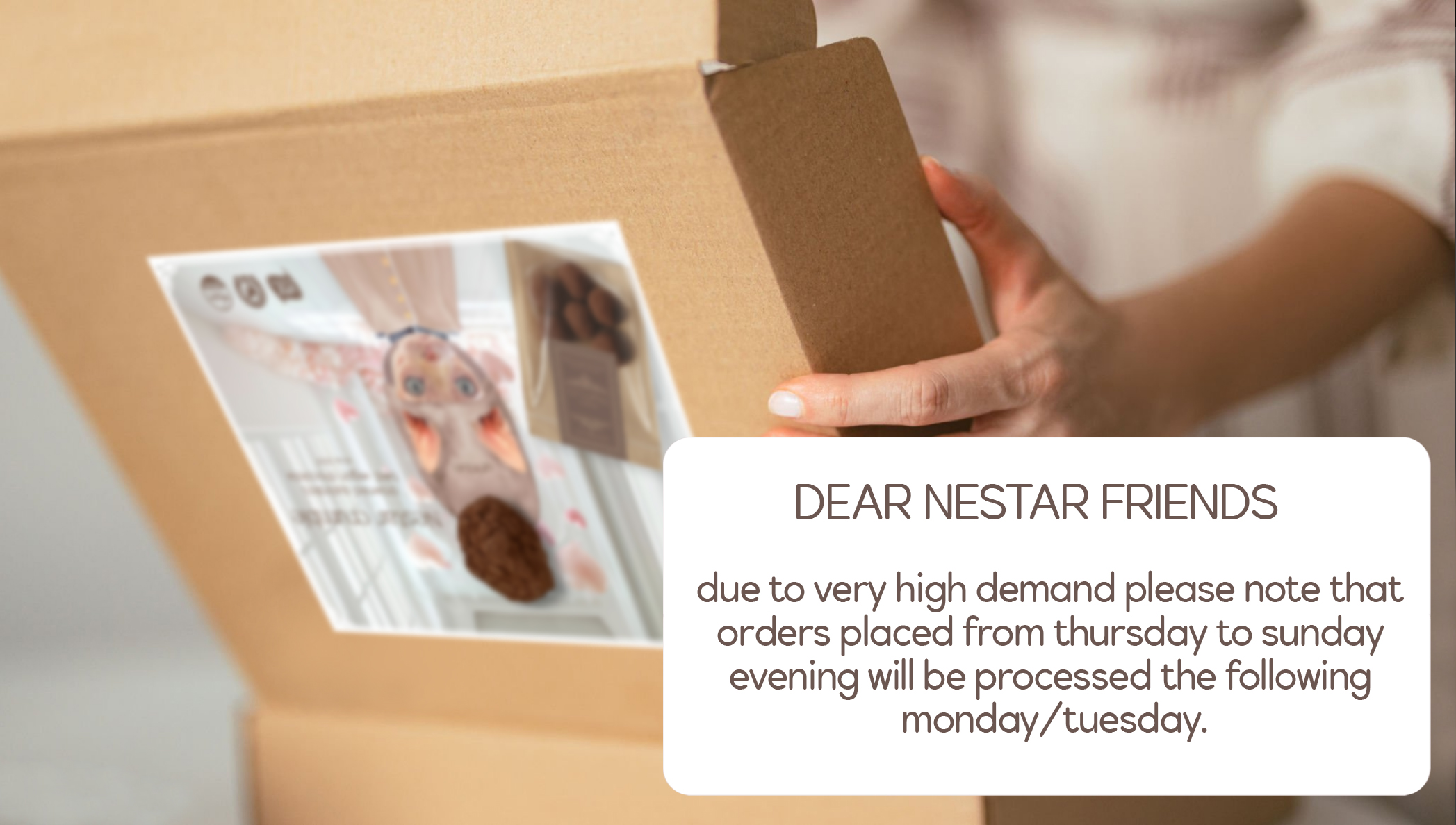 Best Australian Chocolates | Best Vegan Chocolates | Nestar – Nestar ...